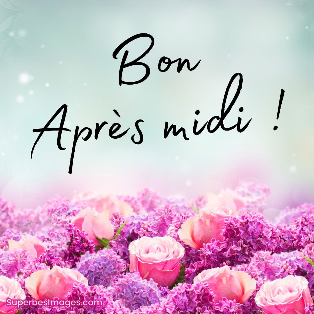 Je Te Souhaite Un Bon Apres Midi Communaut MCMS Je Te Souhaite Un Bon Apres Midi Communaut MCMS