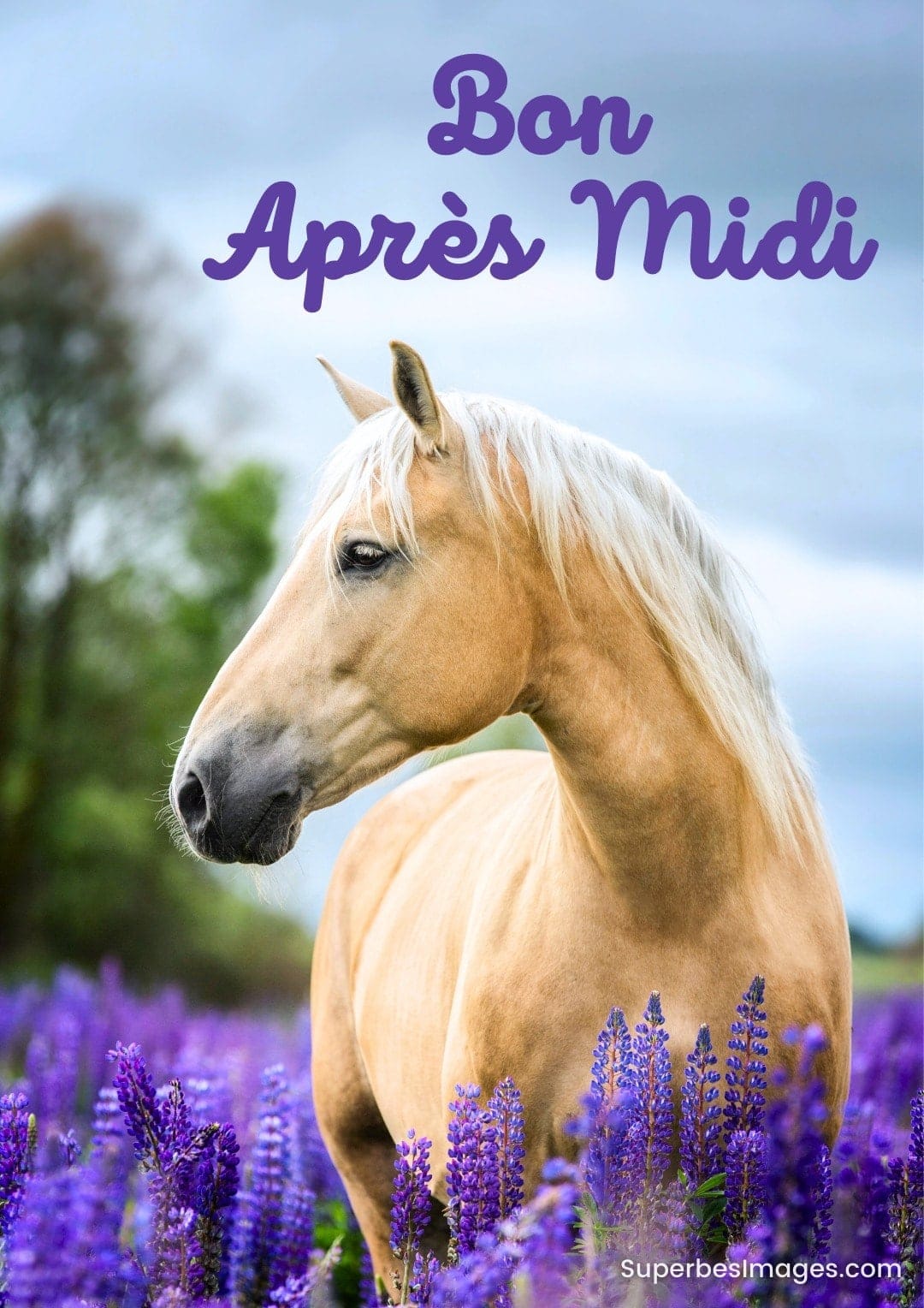 Farm Insolite Page 1570 Farmerama FR Farm Insolite Page 1570 Farmerama FR
